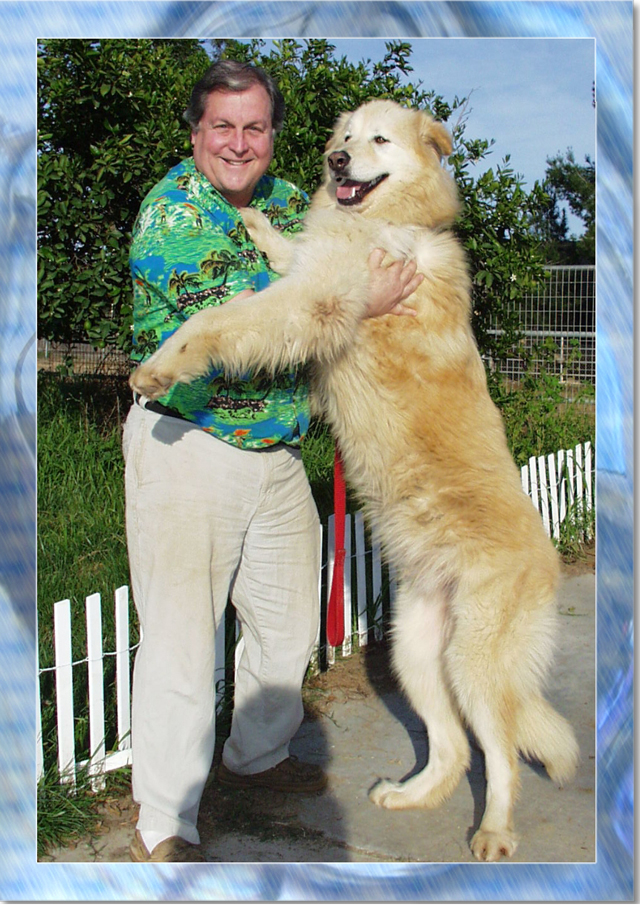 Sasquatch at Gentle Giants Rescue and Adoptions